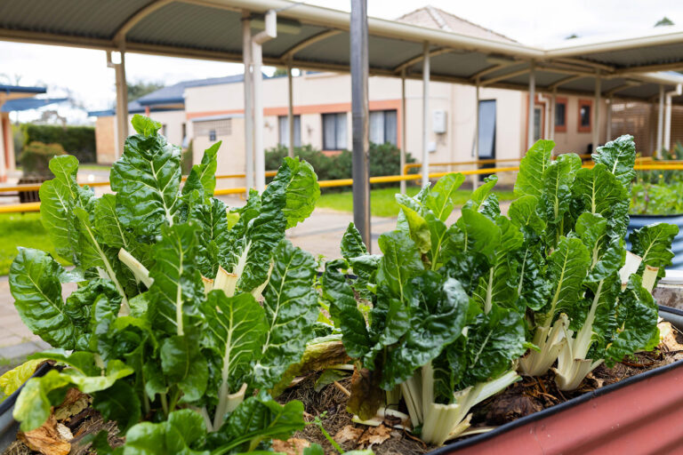 Aboriginal Elders Village - Aboriginal Community Services